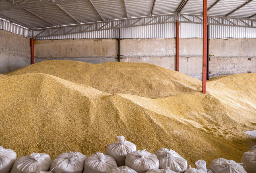 Central Grain Storage - A Compelling Case - Ashbridge Partners